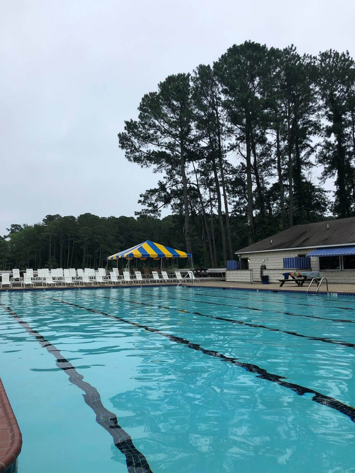 General Information – ABRC